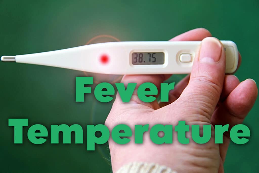 Fever Temperature Chart for Adults: What You Need to Know
