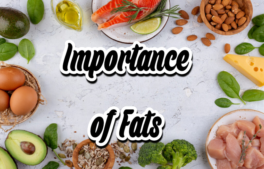Importance of Fats: Functions, Types, and Benefits - Healthy Vibe Hub